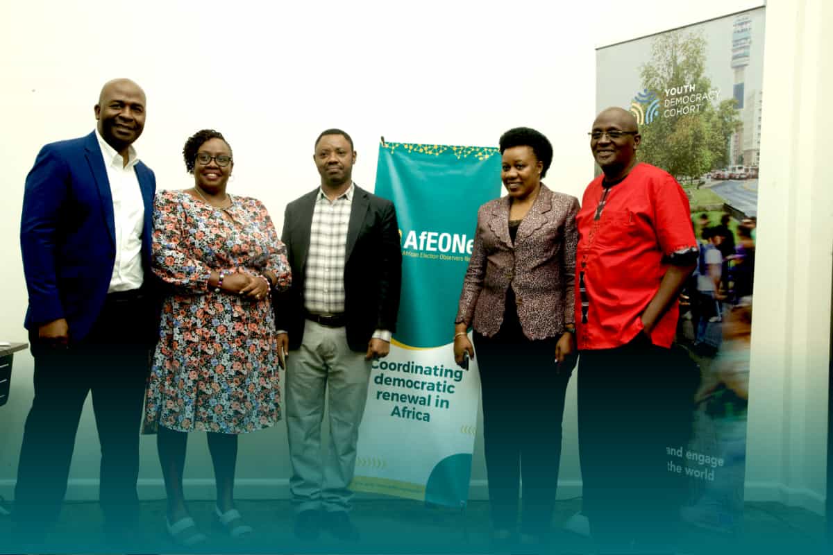 African Election Observers Network (AfEONet)